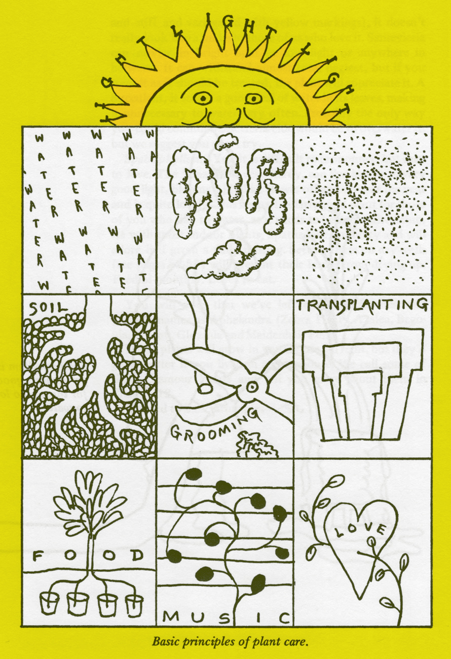 The Power of Plantasia: How the Internet Grew To Love This Musical ...